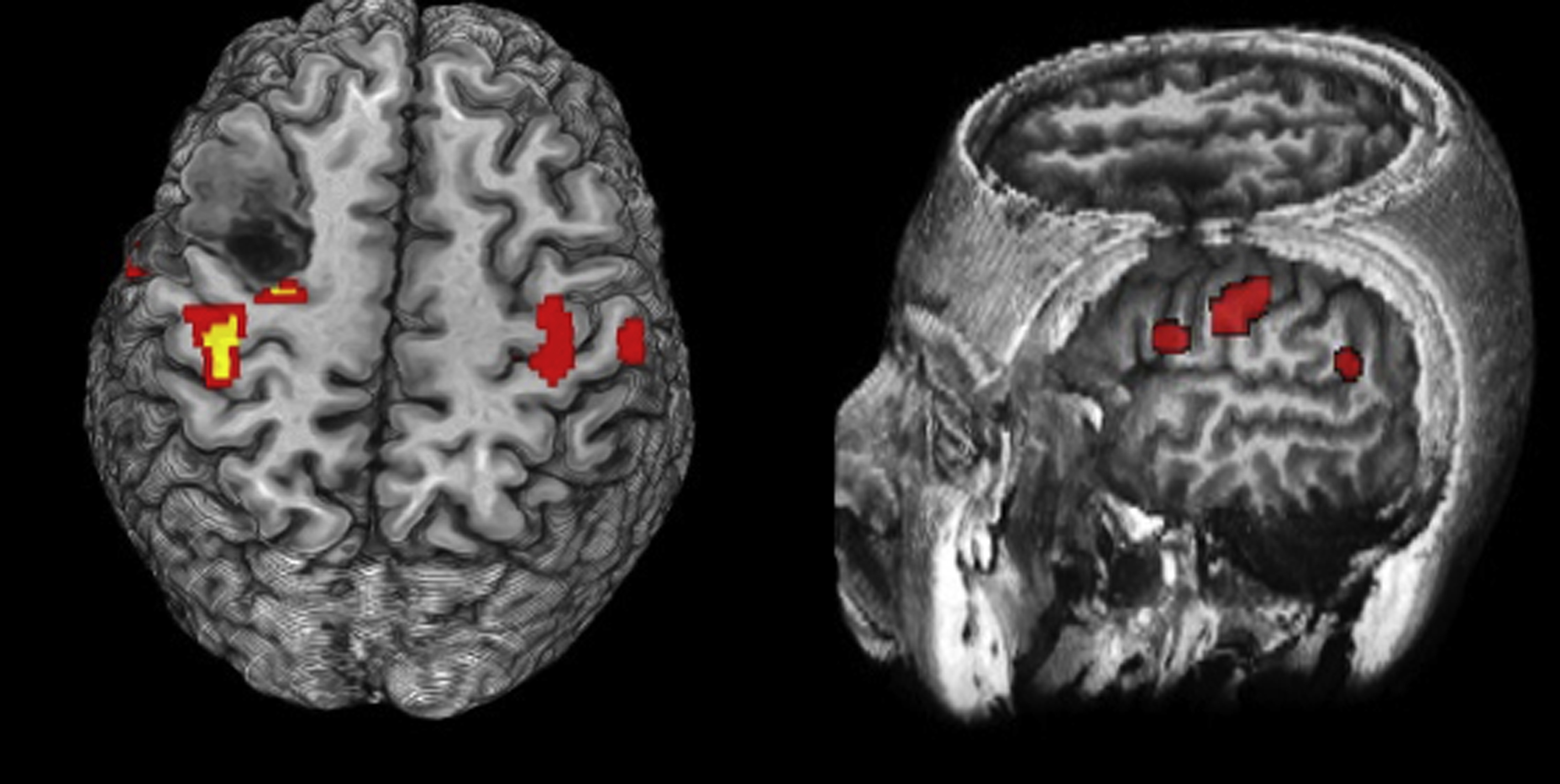 Methods Of Analysis Radiology Key Methods Of Analysis Radiology Key