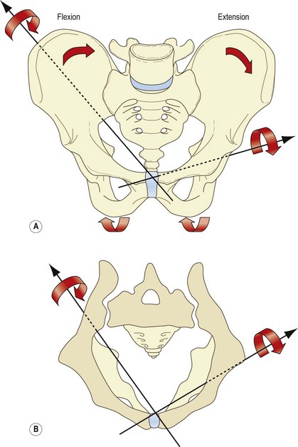 The sacroiliac joint | Radiology Key