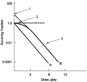 5: Cell Survival Curves | Radiology Key