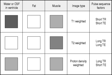 General notes | Radiology Key