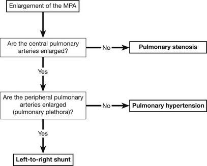 Cardiovascular system | Radiology Key