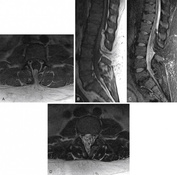 8 | Radiology Key