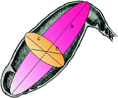 Disease | Radiology Key