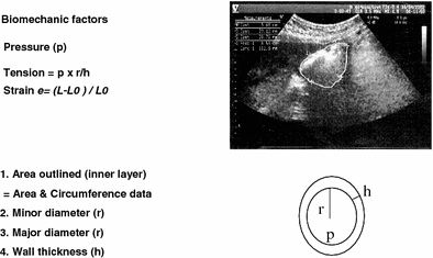 Three-Dimensional Ultrasound of the Gastrointestinal Tract | Radiology Key