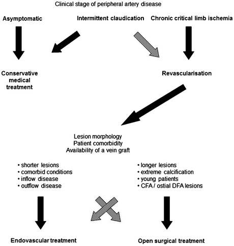Femoral Artery: CFA, SFA, Profunda Femoris Artery Lesions | Radiology Key