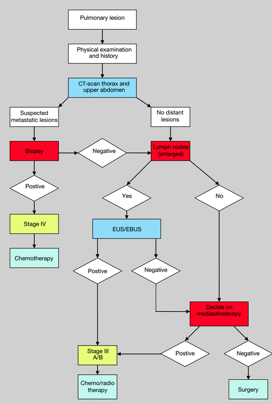 Principles of Cancer Staging | Radiology Key