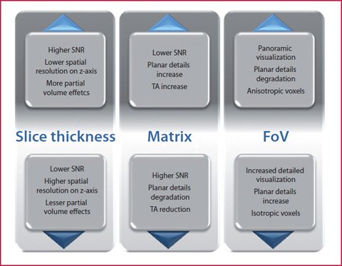 MR-Angiography | Radiology Key