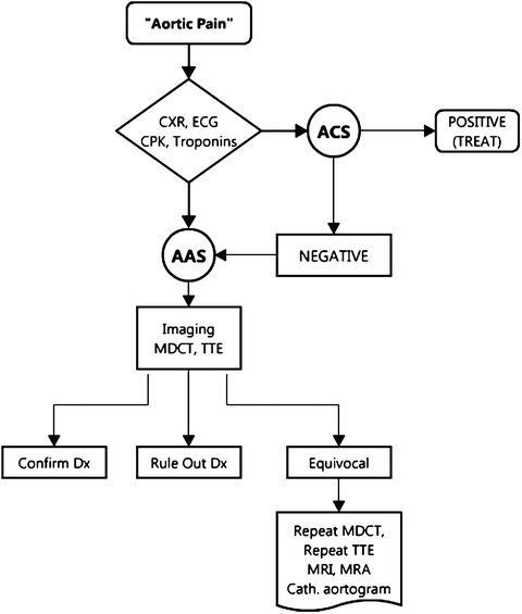 Cardiothoracic Imaging | Radiology Key
