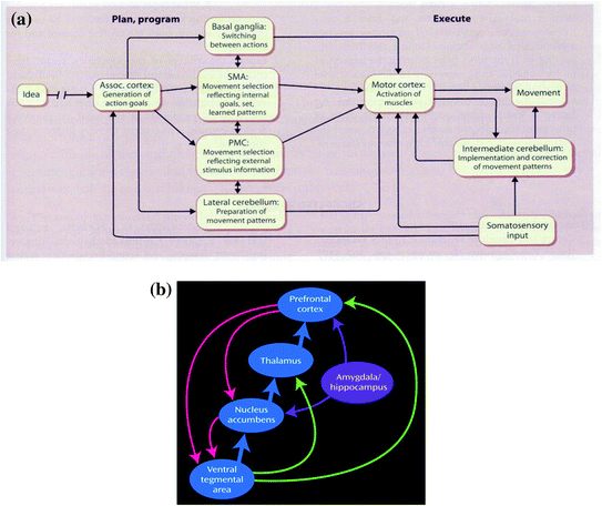 MEG Data with Granger Causality: Promises and Pitfalls | Radiology Key