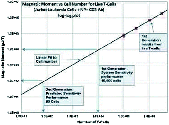 Relaxometry: A Comparison to Magnetoencephalography | Radiology Key
