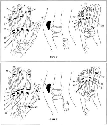 Introduction to Skeletal Radiology and Bone Growth | Radiology Key