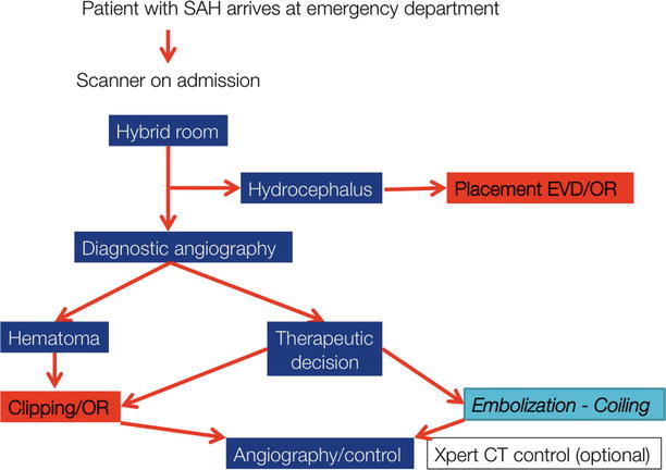 Intraoperative Angiography in Neurosurgery | Radiology Key