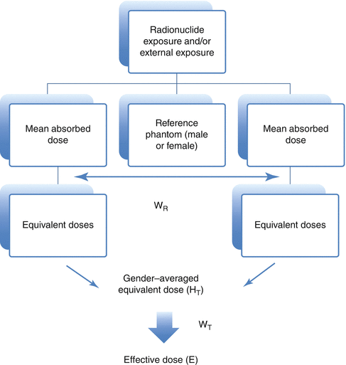 Radiation Safety | Radiology Key