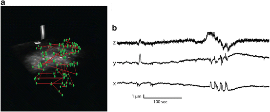 Random-Access Multiphoton Microscopy for Fast Three-Dimensional Imaging ...