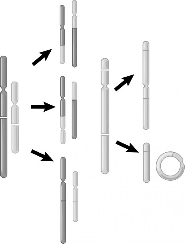 Survival Curves and Cell DeathEhsan H. Balagamwala, C. Marc Leyrer ...
