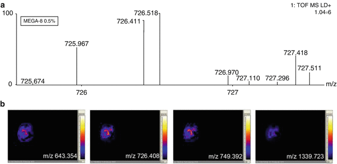 Peptide Imaging: Maximizing Peptide Yield, Optimization of the “Peptide ...