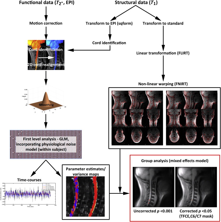 Physiological Noise Modeling and Analysis for Spinal Cord fMRI ...