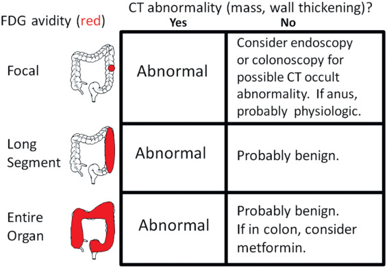 Gastrointestinal Tract on FDG PET/CT | Radiology Key