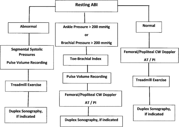 Physiologic Testing of Lower Extremity Arterial Disease | Radiology Key