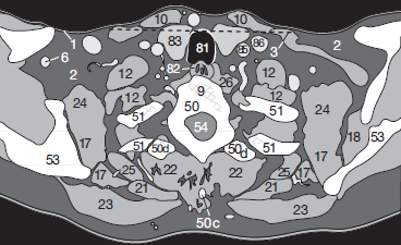 Cervical CT | Radiology Key