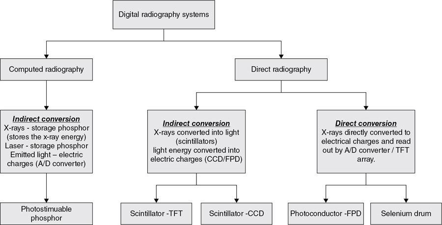 Radiography and mammography | Radiology Key