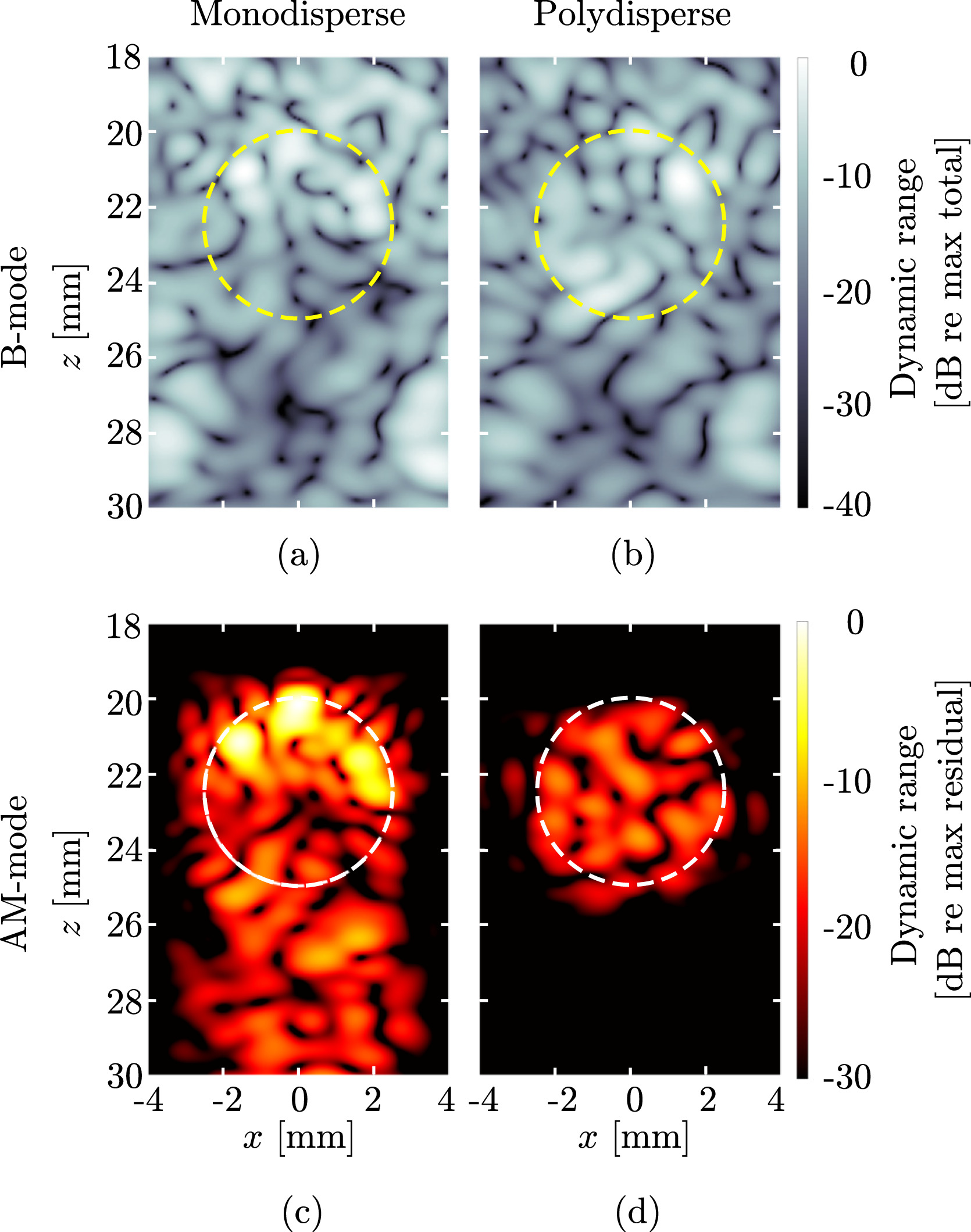Polydisperse Versus Monodisperse Microbubbles: A Simulation Study for ...