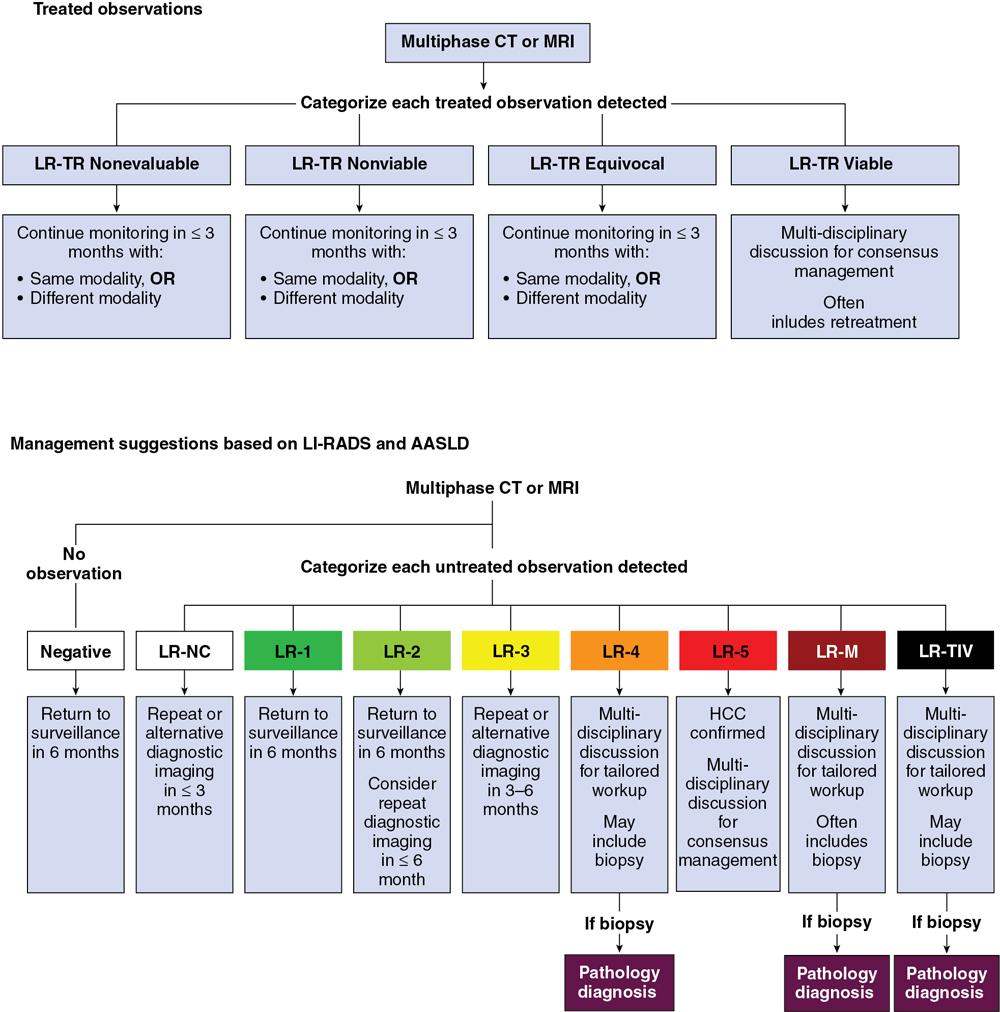 Imaging in portal hypertension and cirrhosis with emphasis on LI-RADS ...