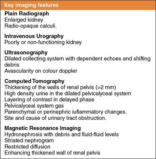 Pyonephrosis | Radiology Key